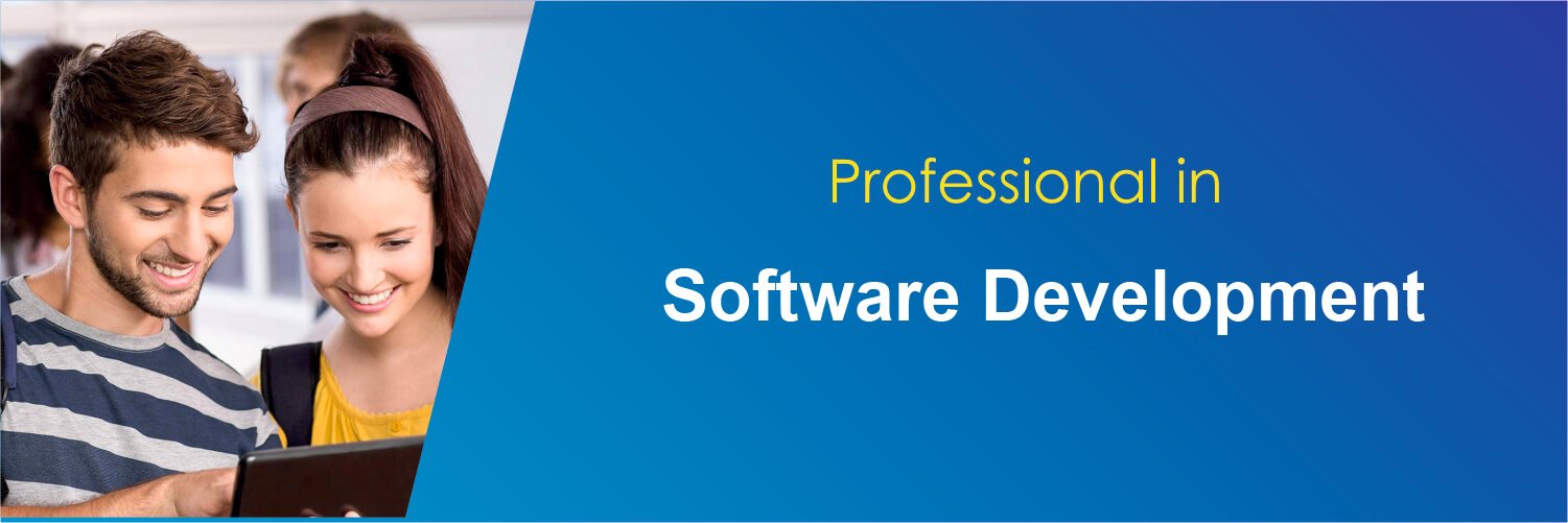Professional in Software Development